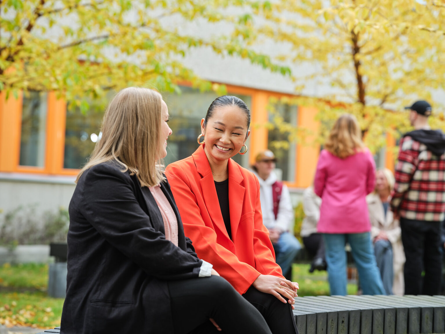 Graphic Guidelines - VAMK